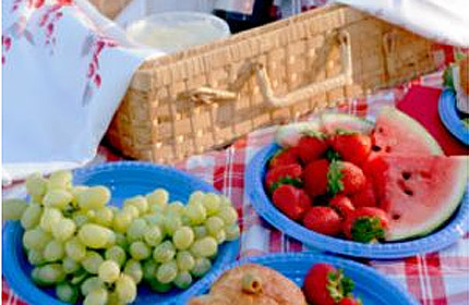 Top 5 picknickroutes | Fietsen123