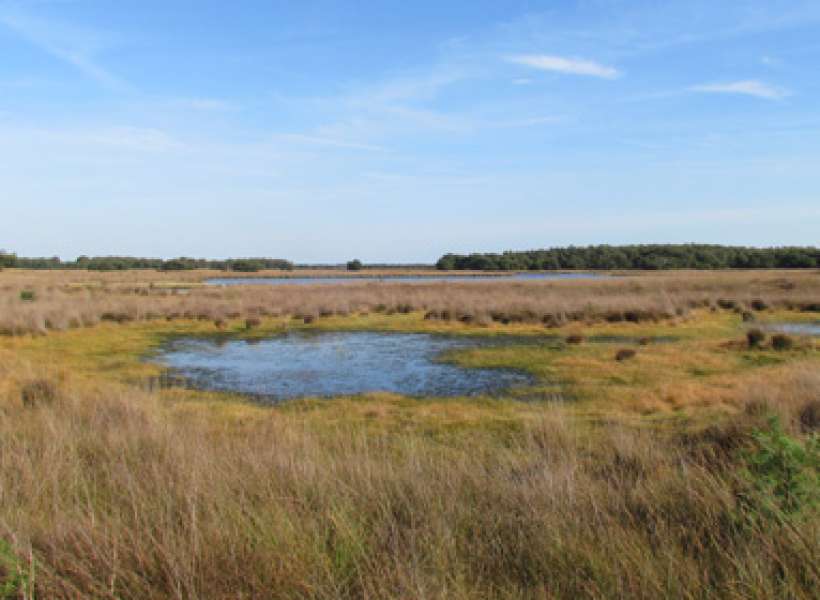 Twee heideroutes | Fietsen123