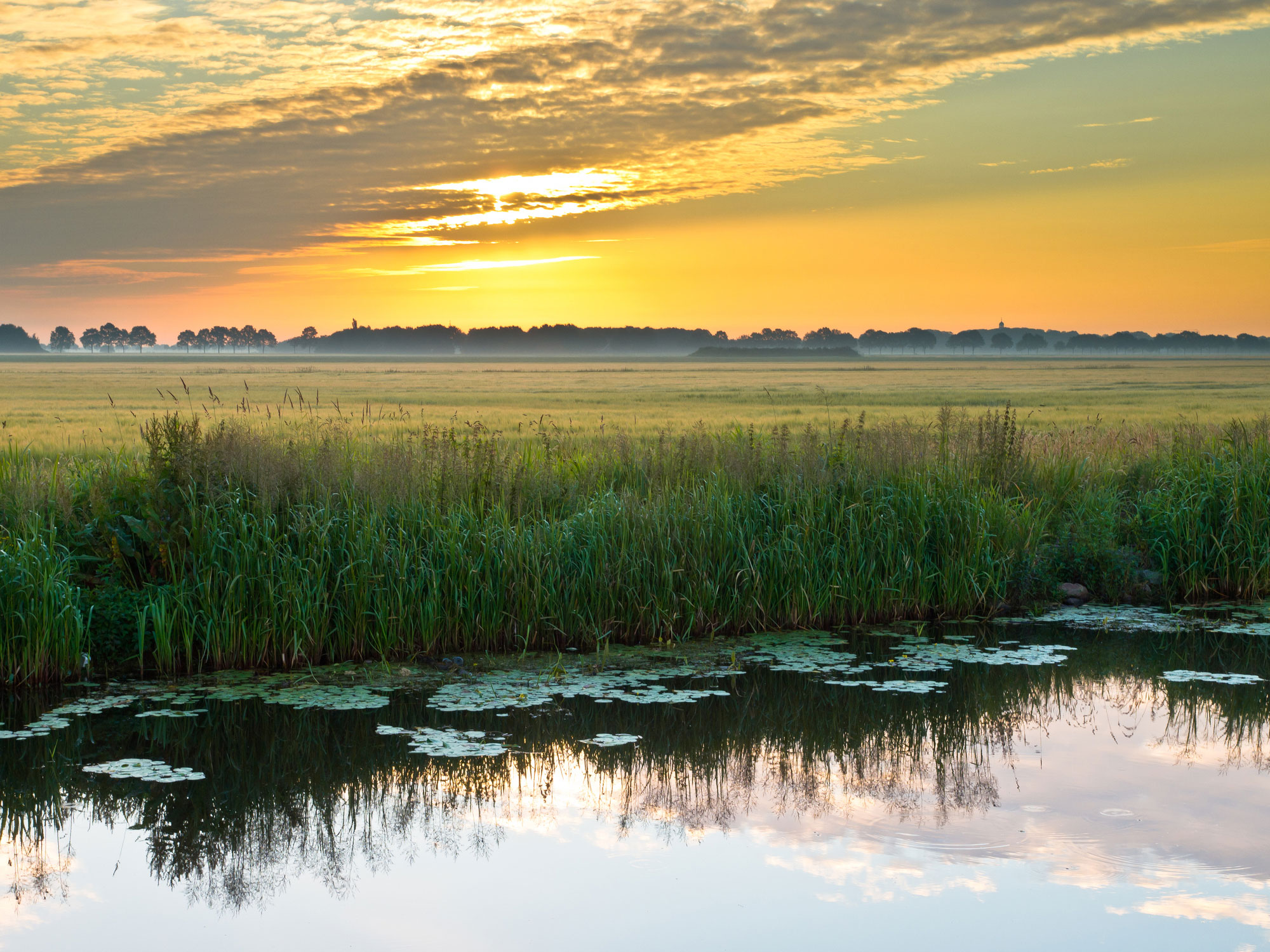 Fietsroute De jongste ontginning van Drenthe | Fietsen123