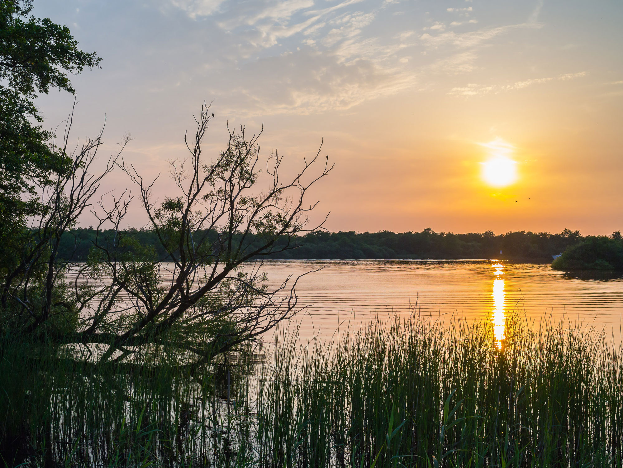 Fietsroute Nationaal Park De Alde Feanen | Fietsen123