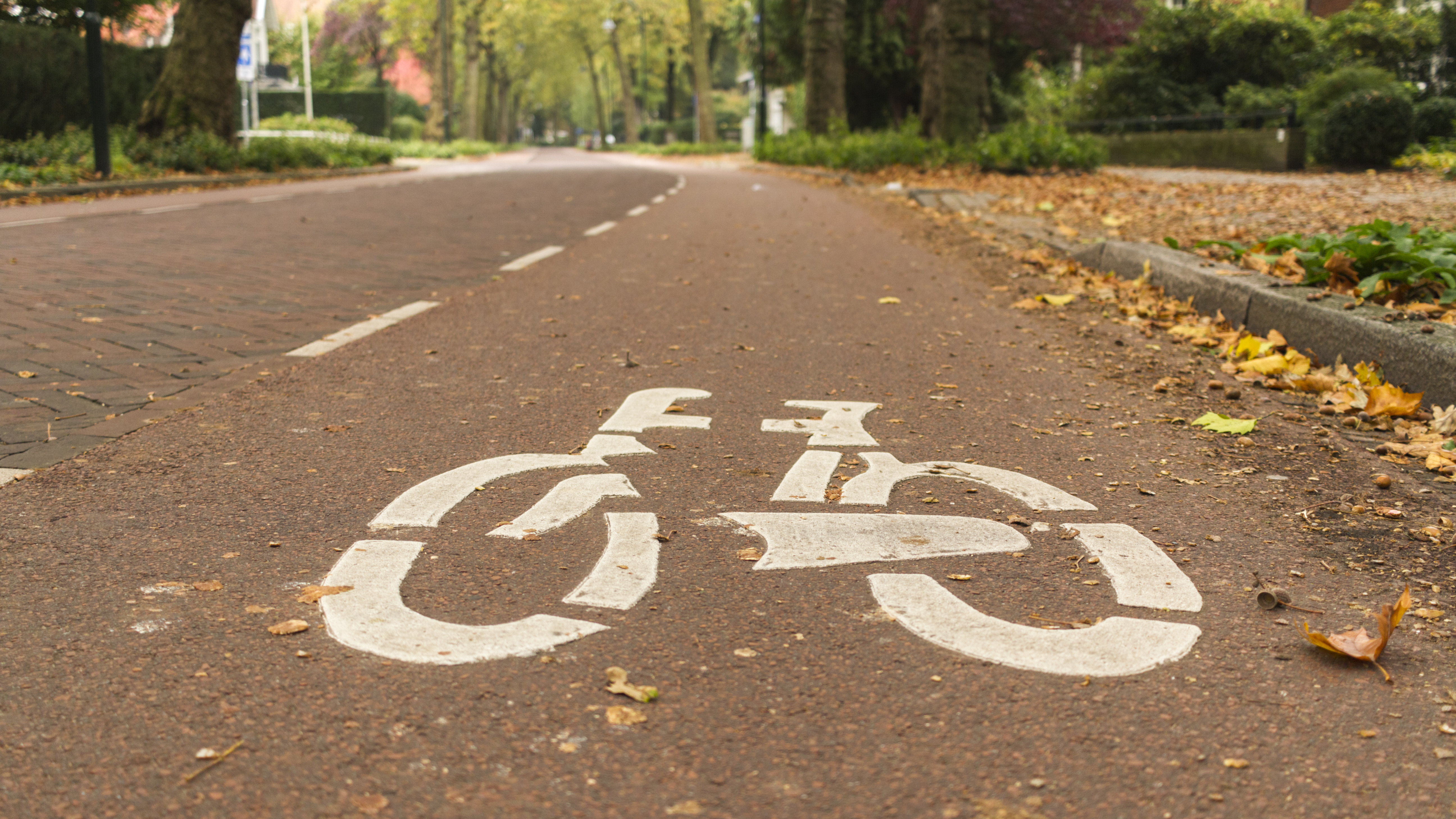 Hobbelige fietspaden grote ergernis Barnevelders | Fietsen123