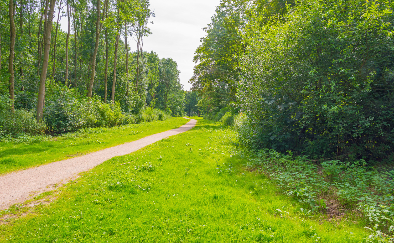 Fietsroute Het grootste loofbos van Nederland | Fietsen123