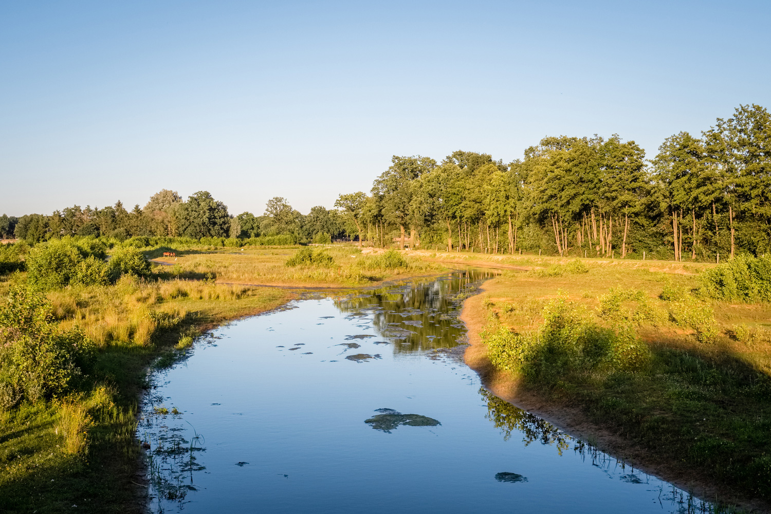 Fietsroute Het Reestdal en Boswachterij Staphorst | Fietsen123