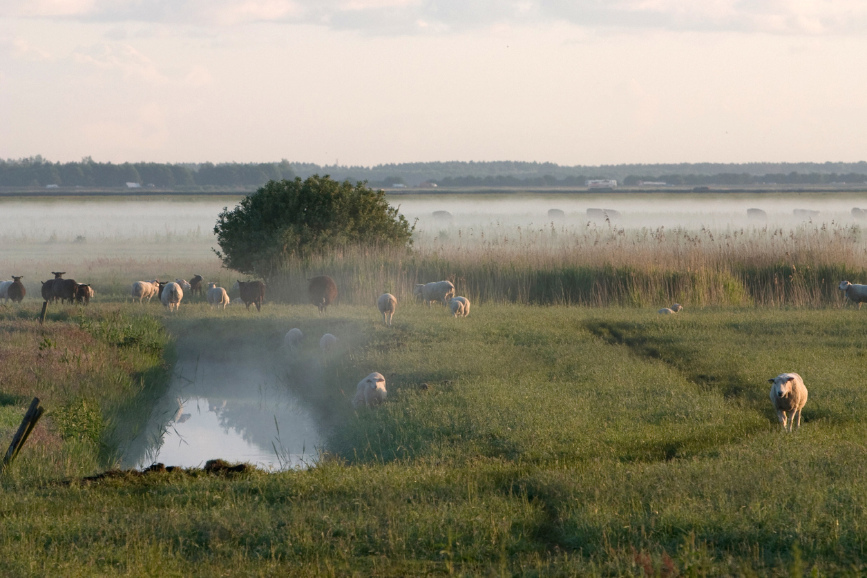 Fietsroute Harmonie in het Eemland | Fietsen123
