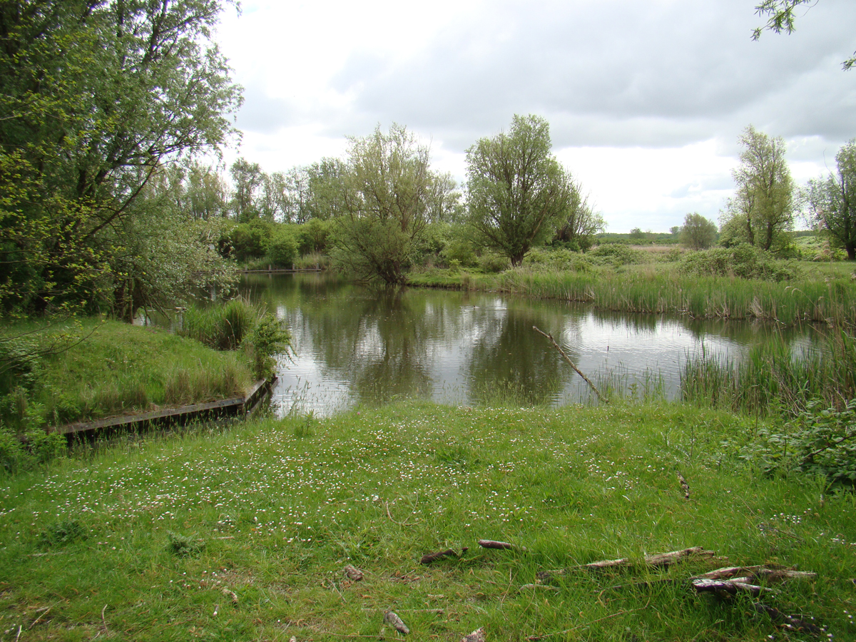 Fietsroute Groen in Almere | Fietsen123