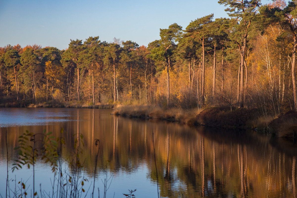 Fietsroute Nationaal Landschap Het Groene Woud | Fietsen123