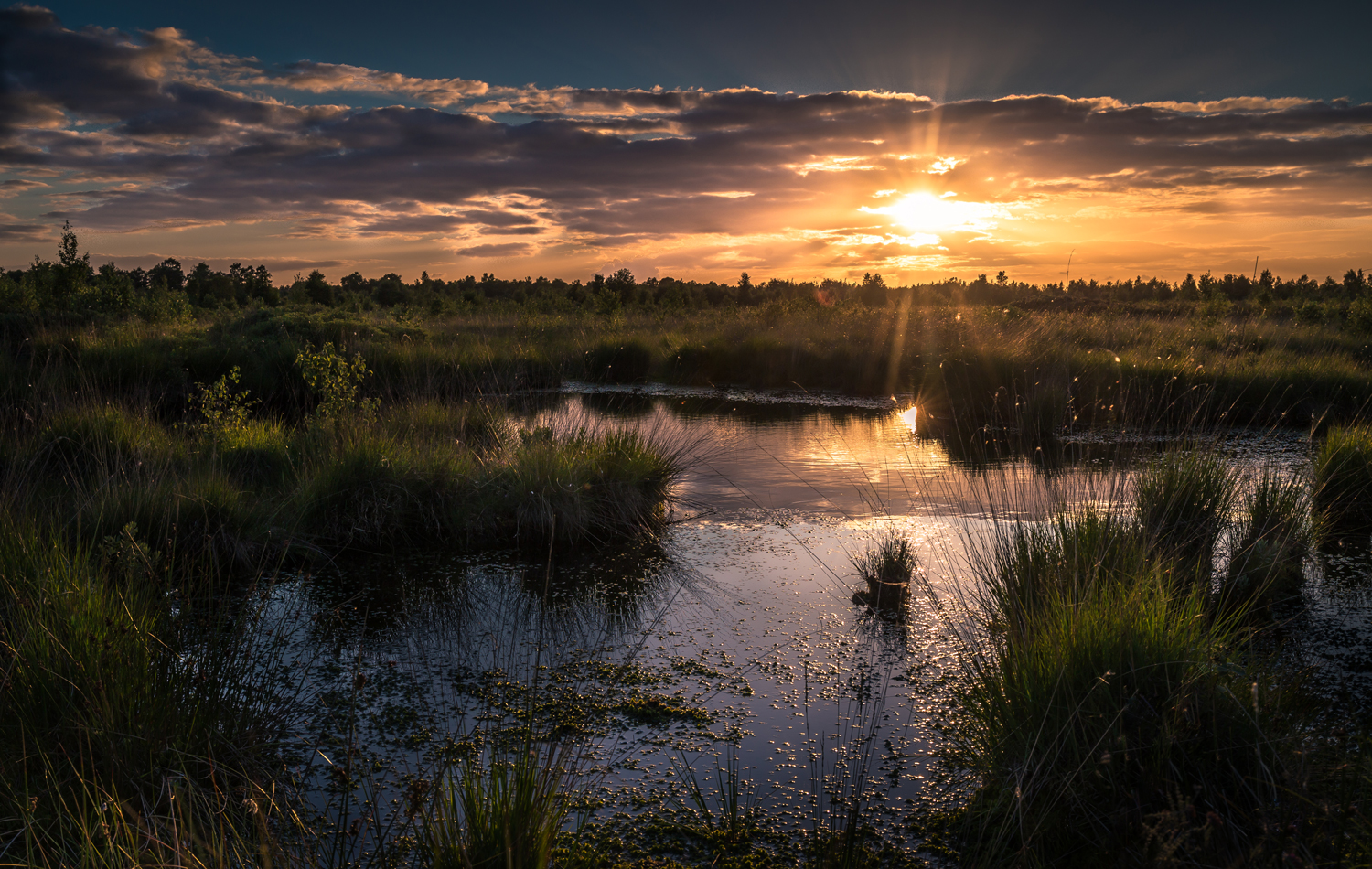 Fietsroute Hoogveen in Overijssel | Fietsen123