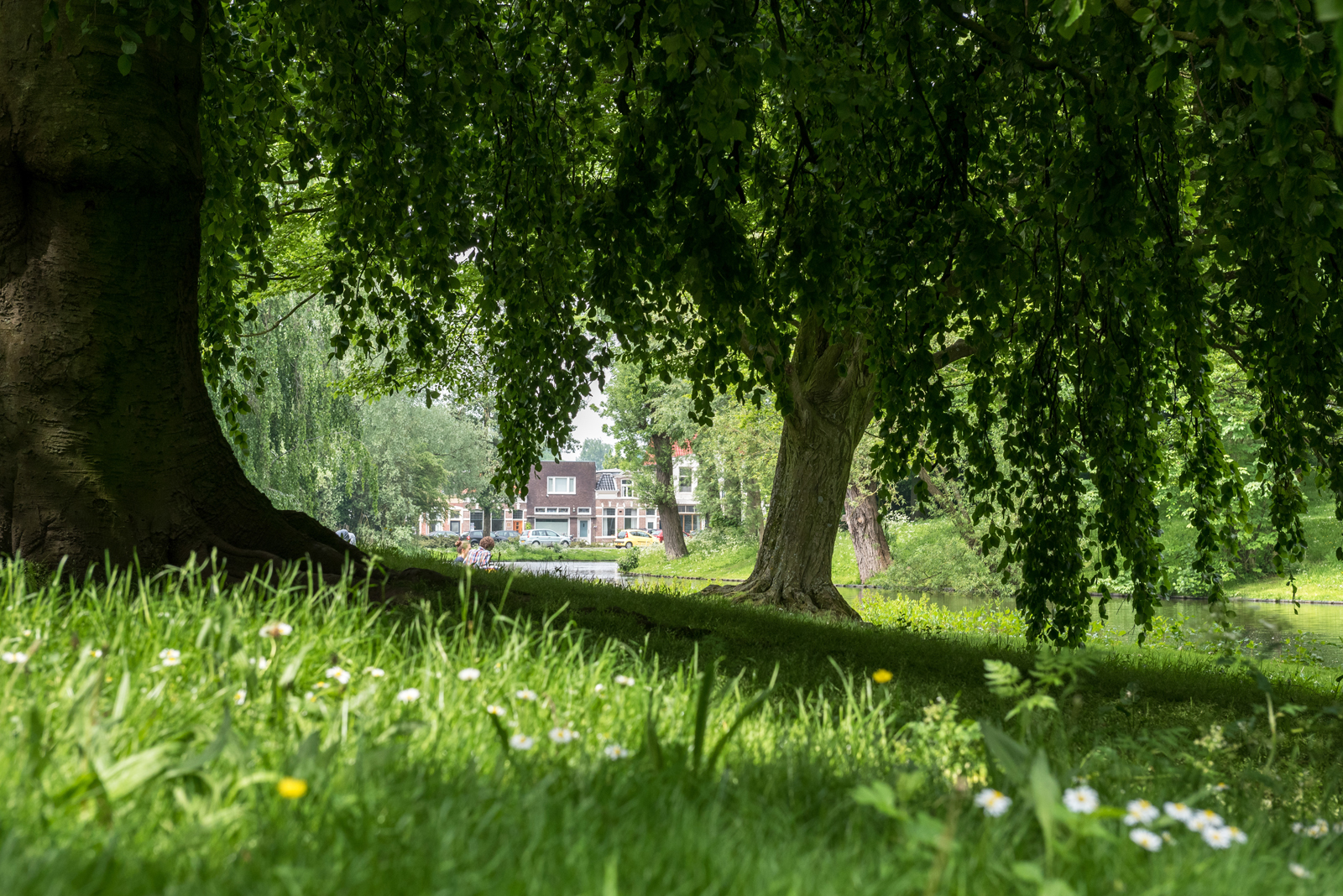 Fietsroute Het gras van het Noorderplantsoen | Fietsen123