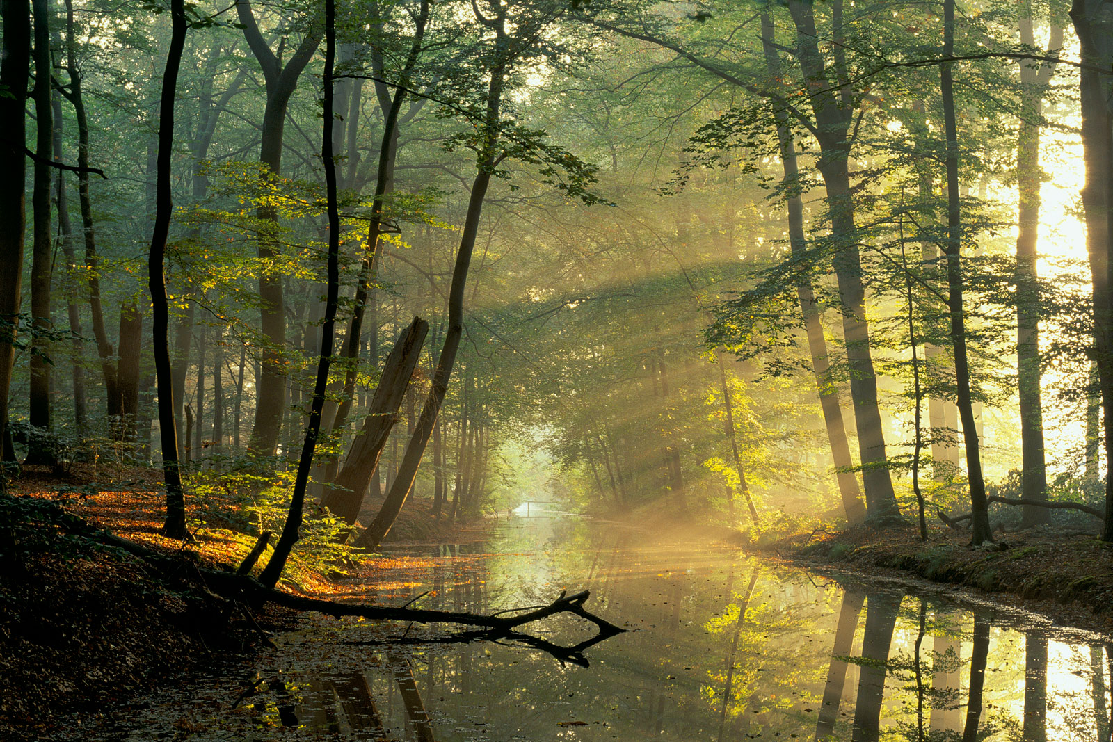 Fietsroute De groene omgeving van Hilvarenbeek | Fietsen123