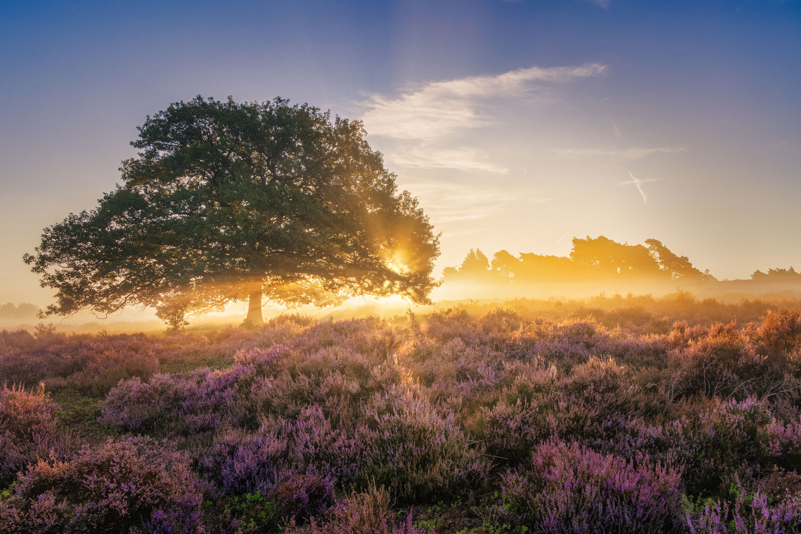 Fietsroute Het beste van Salland | Fietsen123